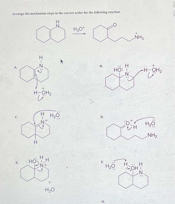 Solved Arrange the mechanism steps in the correct order for | Chegg.com