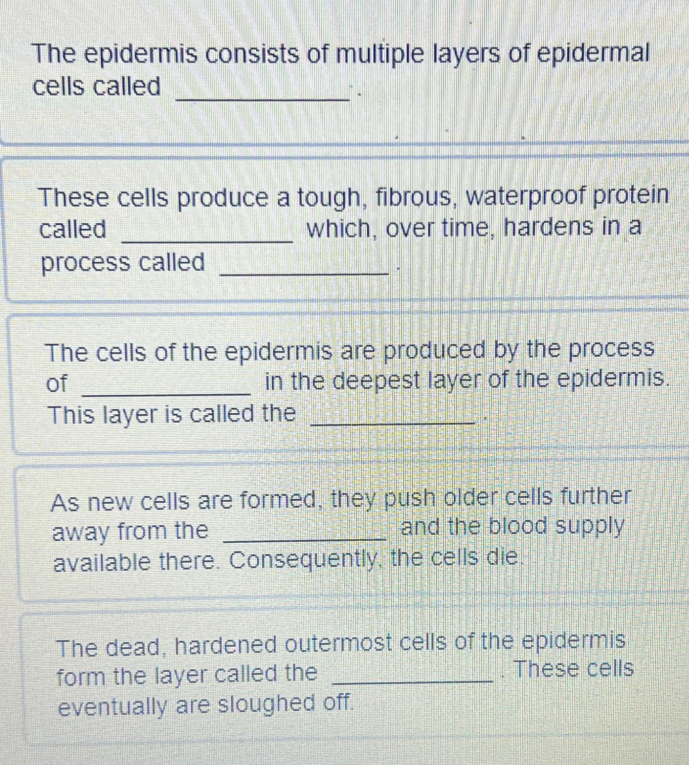 Solved The epidermis consists of multiple layers of | Chegg.com