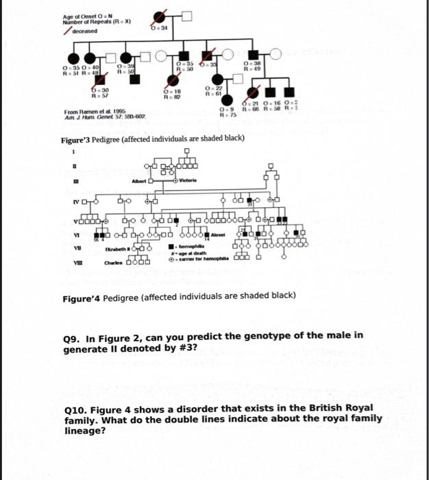 Solved Pedigrees Pedigrees are a useful means to illustrate | Chegg.com Solved Pedigrees Pedigrees are a useful means to illustrate | Chegg.com