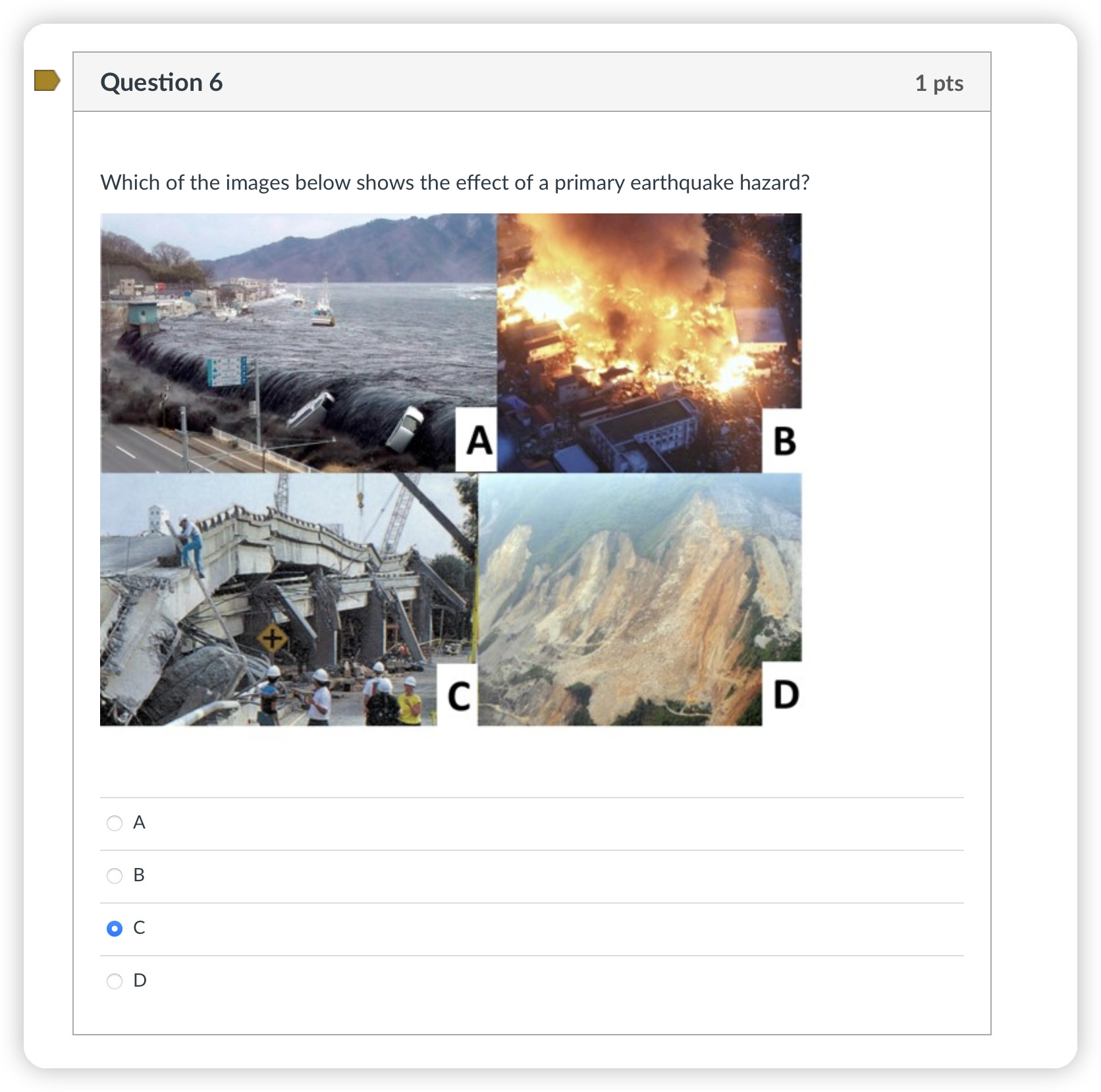 Solved Question 6 ﻿Which of the images below shows the | Chegg.com