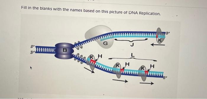 Solved Fill in the blanks with the names based on this | Chegg.com