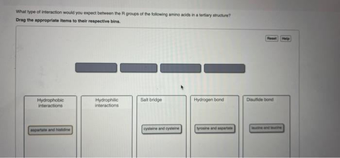 Solved What type of interaction would you expect between the | Chegg.com