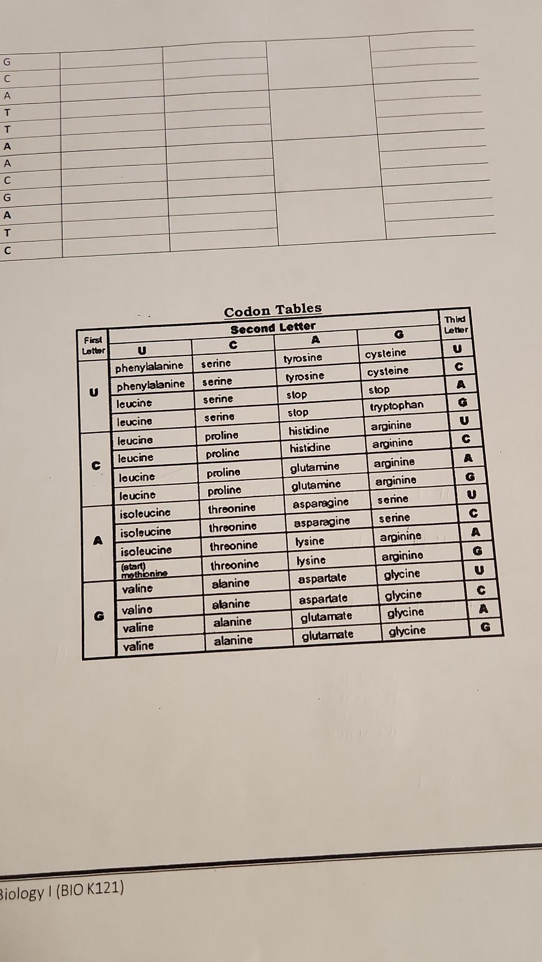 Solved Student Name: Lab report Due date: at 11:59 PM Lab | Chegg.com