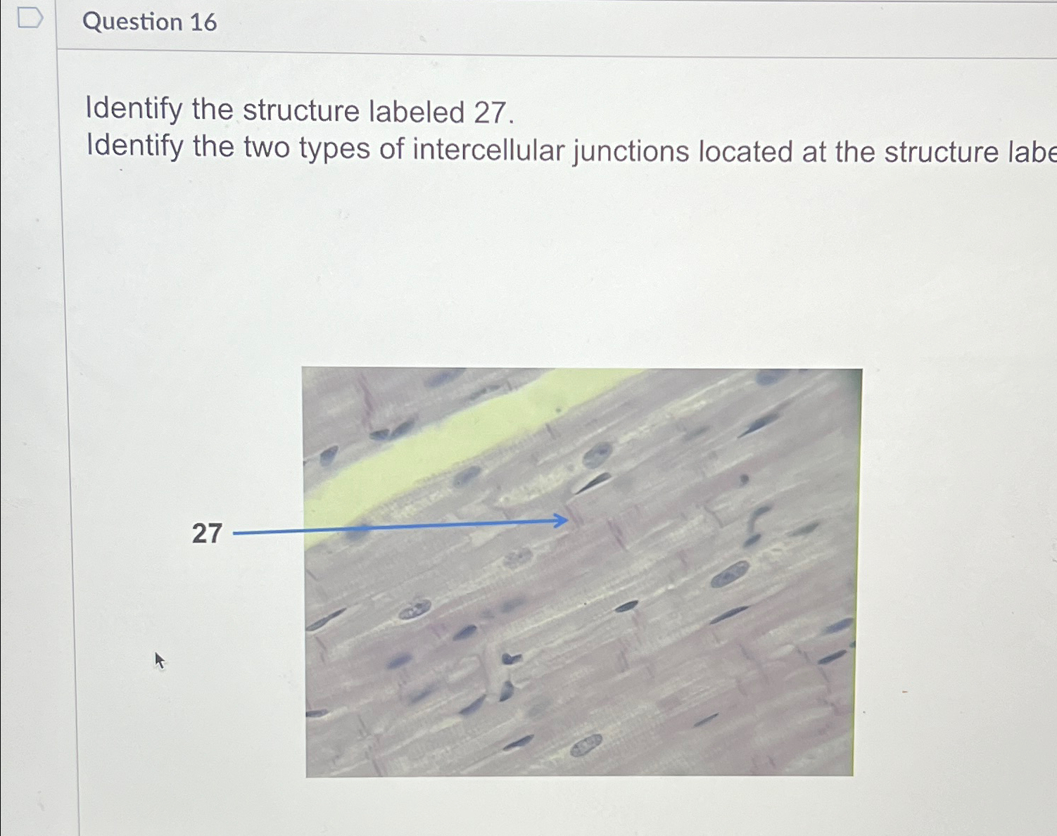 Solved Question 16Identify the structure labeled 27.Identify | Chegg.com