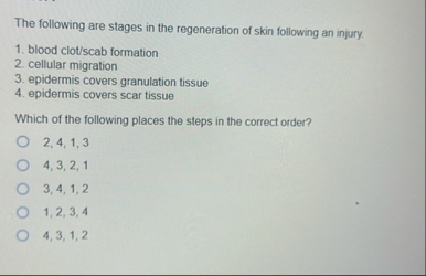 Solved The following are stages in the regeneration of skin | Chegg.com