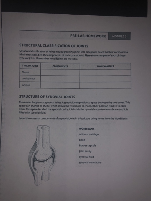 Solved PRE-LAB HOMEWORK MODULE 6 STRUCTURAL CLASSIFICATION | Chegg.com