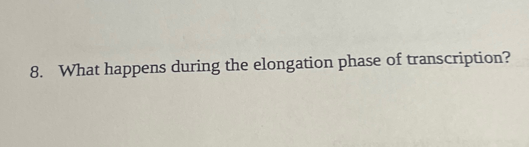 Solved What happens during the elongation phase of | Chegg.com