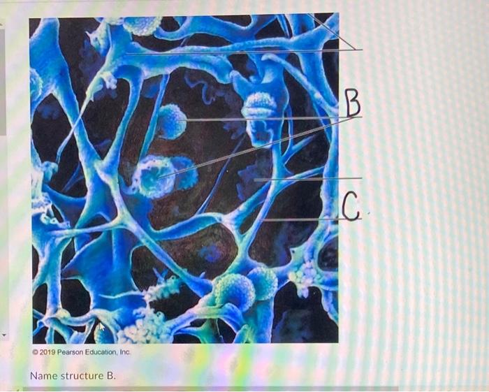 [Solved]: Name structure AName structure BName structure A N