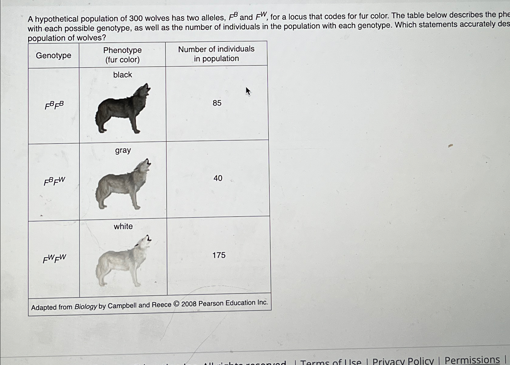 Solved A hypothetical population of 300 ﻿wolves has two | Chegg.com