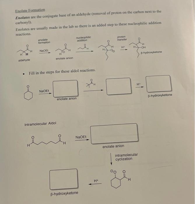 Solved Enolate Formation Enolates are the conjugate base of | Chegg.com