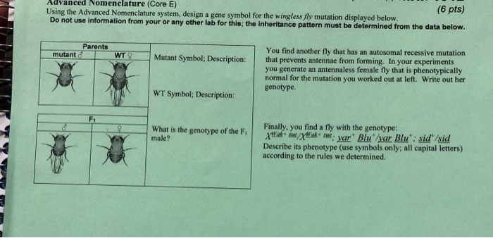 Solved Advanced Nomenclature (Core E) (6 pts) Using the | Chegg.com