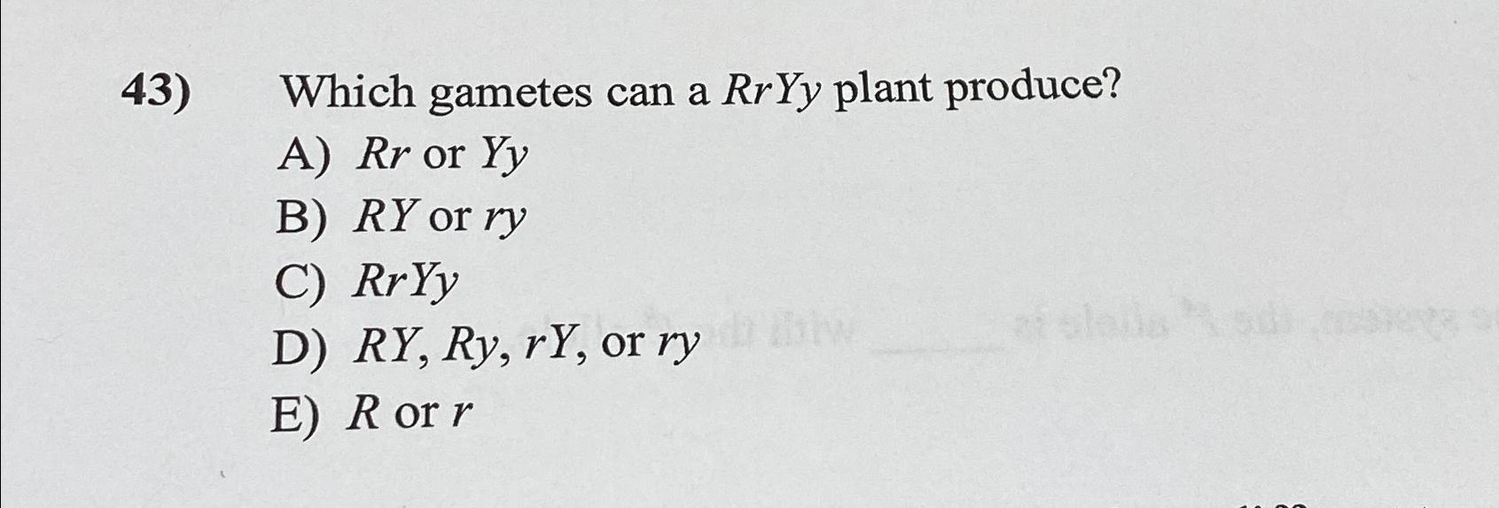 Solved Which gametes can a RrYy ﻿plant produce?A) Rr ﻿or | Chegg.com