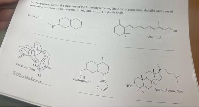 Solved terpene it is (mono, xequiterpene, di, tri, tetra, | Chegg.com