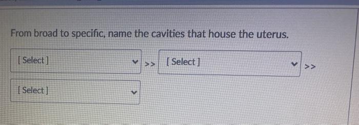 Solved From broad to specific, name the cavities that house | Chegg.com
