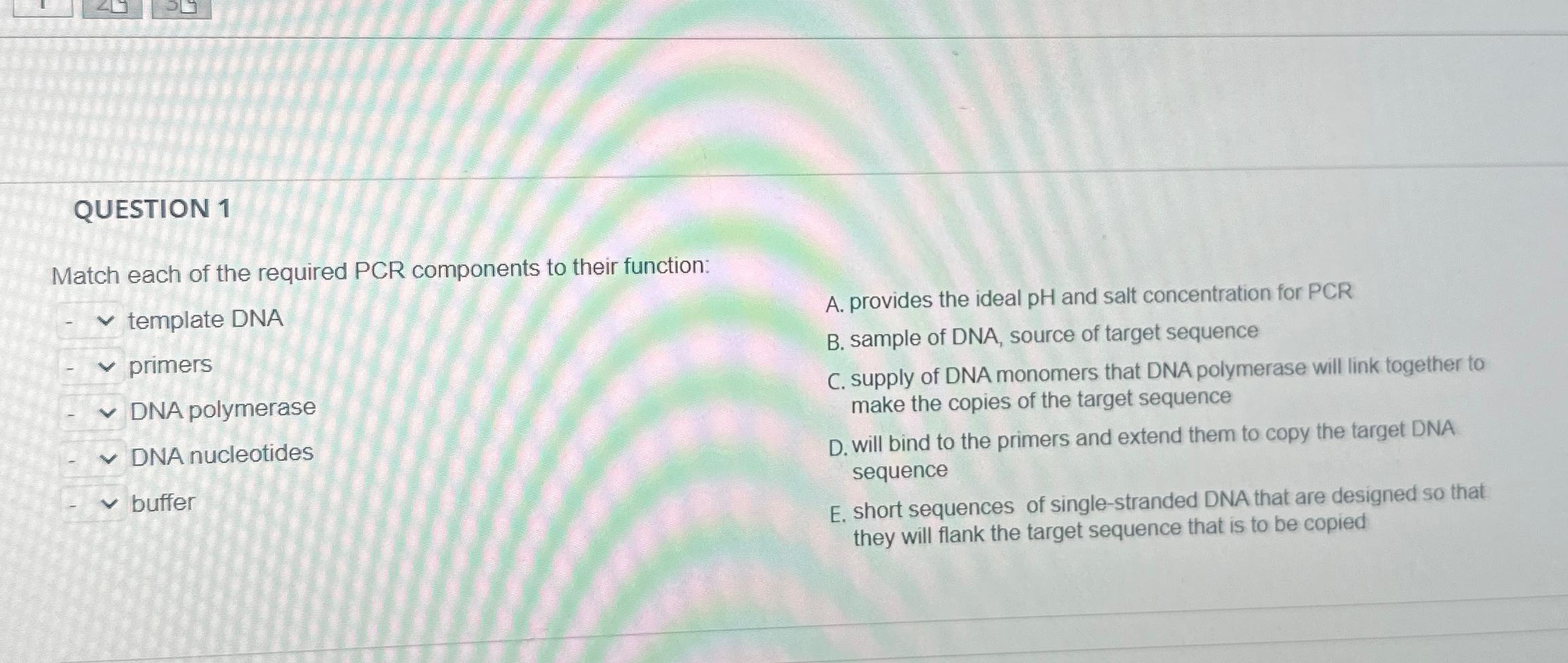 Solved QUESTION 1Match each of the required PCR components | Chegg.com