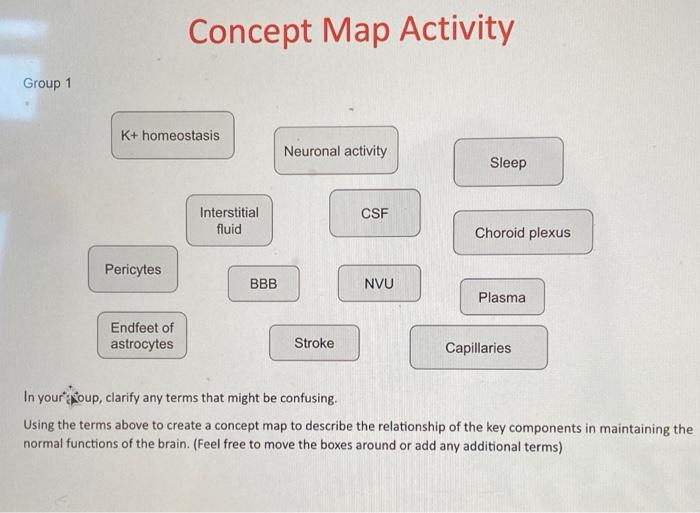Solved Concept Map Activity In your:i৯oup, clarify any terms | Chegg.com