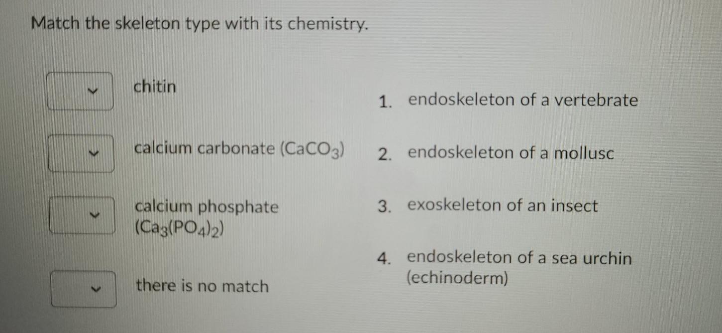Solved Match the skeleton type with its chemistry. chitin 1. | Chegg.com