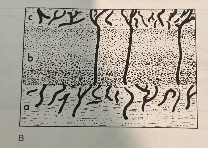 Solved 2. What sequences of events occurred on the ocean | Chegg.com