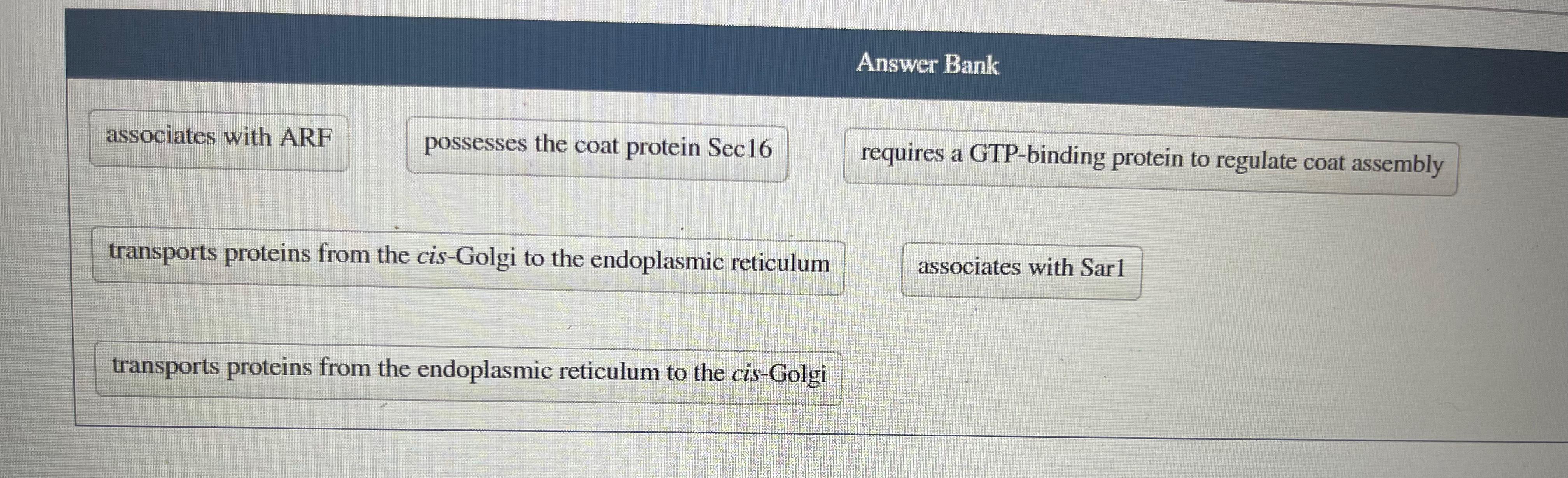 Solved Identify the statements describing COPI vesicles, | Chegg.com