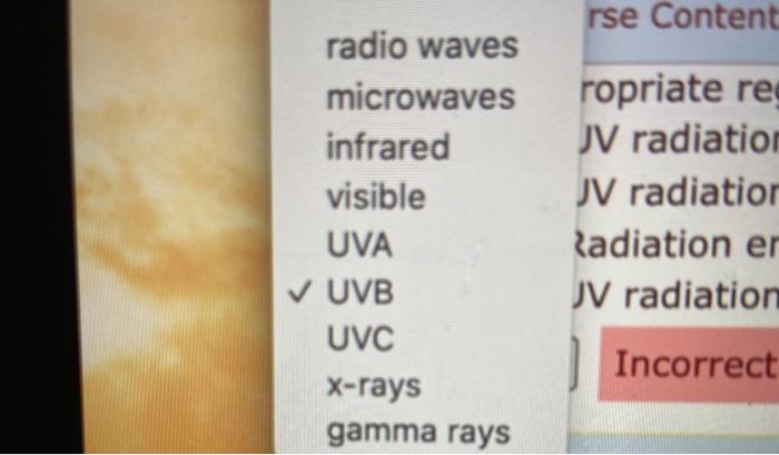Solved Print Info UVC Course Contents> ... >> HW #9 due MON | Chegg.com