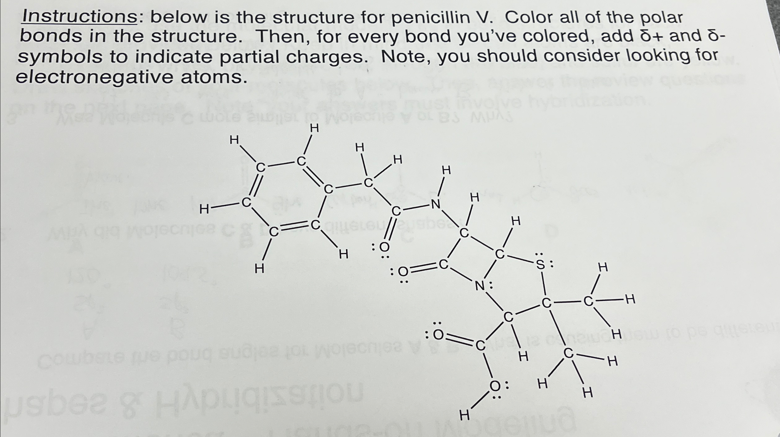 Solved Instructions: below is the structure for penicillin | Chegg.com