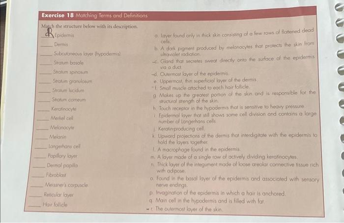 Solved Exercise 18 Matching Terms and Definitions Match the | Chegg.com