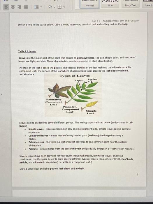 Solved Lab # 9-Angiosperms: Form and Function Lab #9 - | Chegg.com