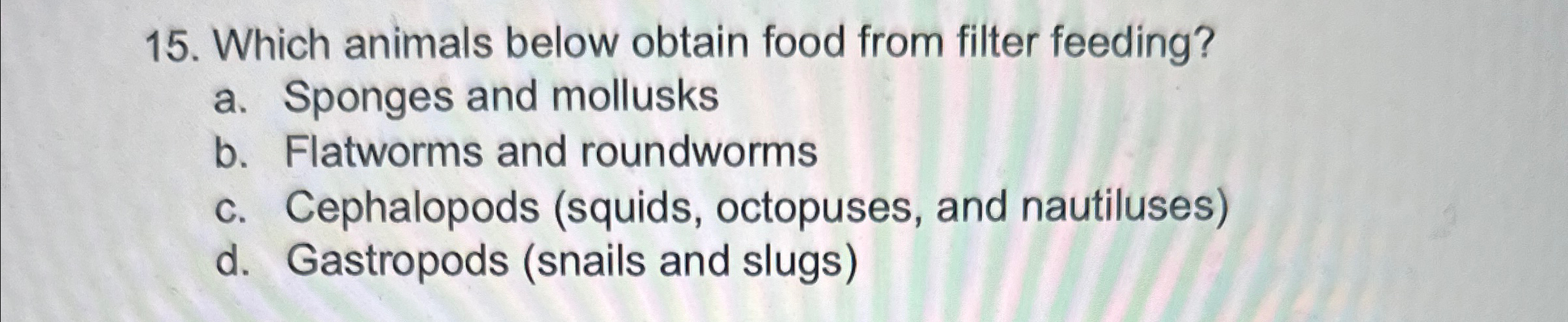 Solved Which animals below obtain food from filter | Chegg.com