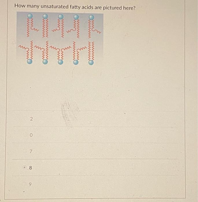 Solved How many medium chain fatty acids are pictured here? | Chegg.com
