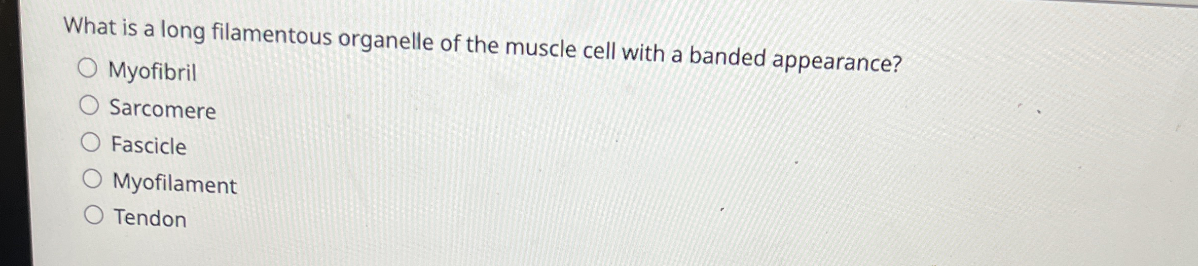 Solved What is a long filamentous organelle of the muscle | Chegg.com