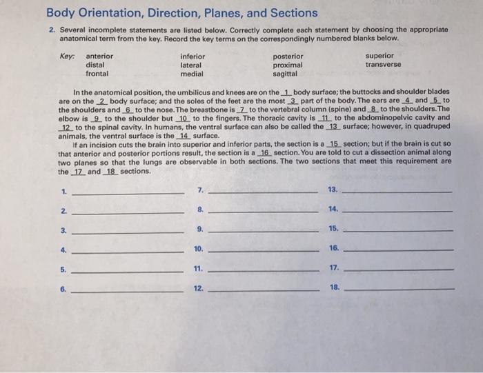 solved-body-orientation-direction-planes-and-sections-2-chegg