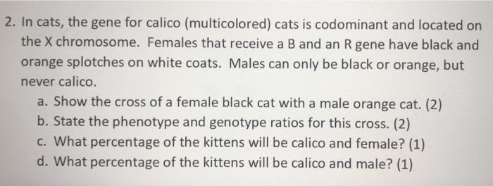 Solved 2. In cats, the gene for calico (multicolored) cats | Chegg.com