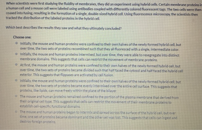 Solved When scientists were first studying the fluidity of | Chegg.com