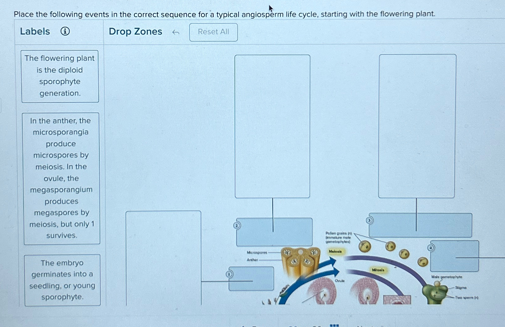 Solved Place the following events in the correct sequence | Chegg.com