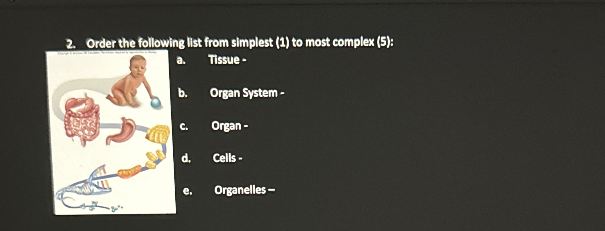 Solved Order the following list from simplest (1) ﻿to most | Chegg.com