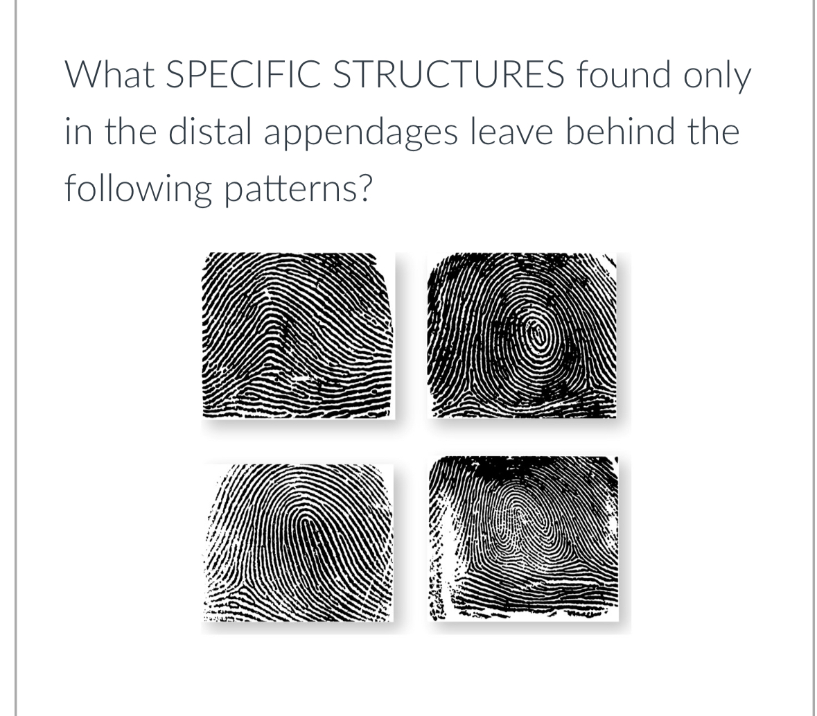 Solved What SPECIFIC STRUCTURES found onlyin the distal | Chegg.com