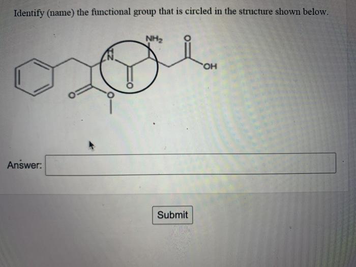 Solved Identify (name) the functional group that is circled | Chegg.com