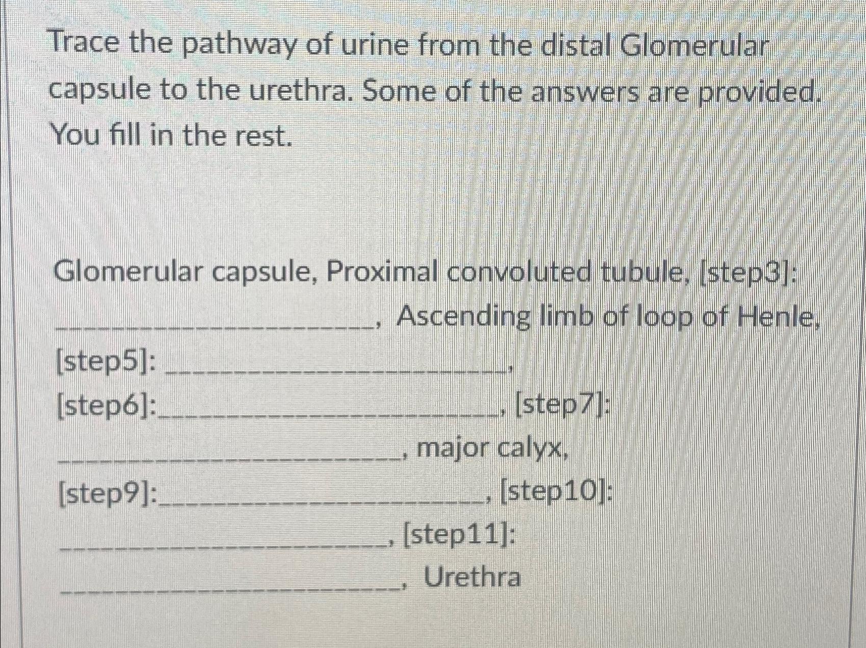 Solved Trace the pathway of urine from the distal Glomerular | Chegg.com