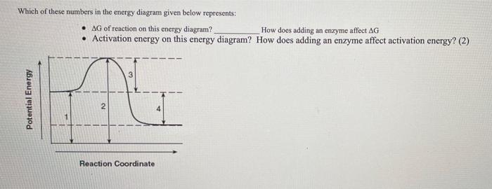 Solved Which of these numbers in the energy diagram given | Chegg.com