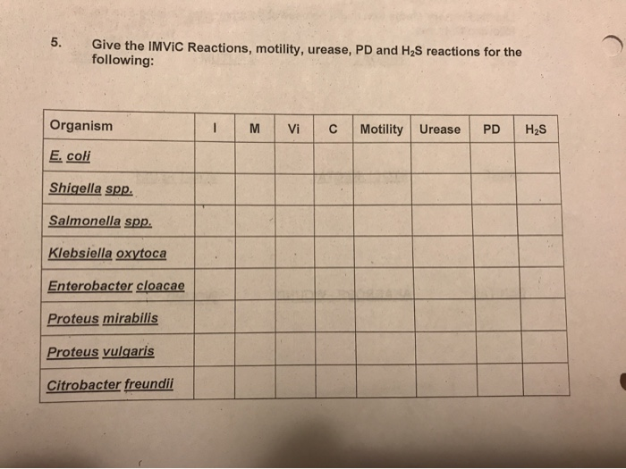 Solved 5. Give the IMVIC Reactions, motility, urease, PD and | Chegg.com