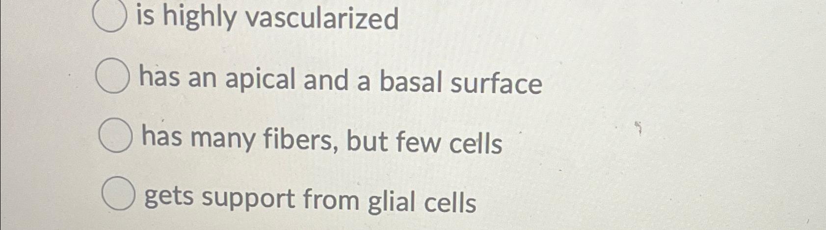 Solved is highly vascularized has an apical and a basal | Chegg.com