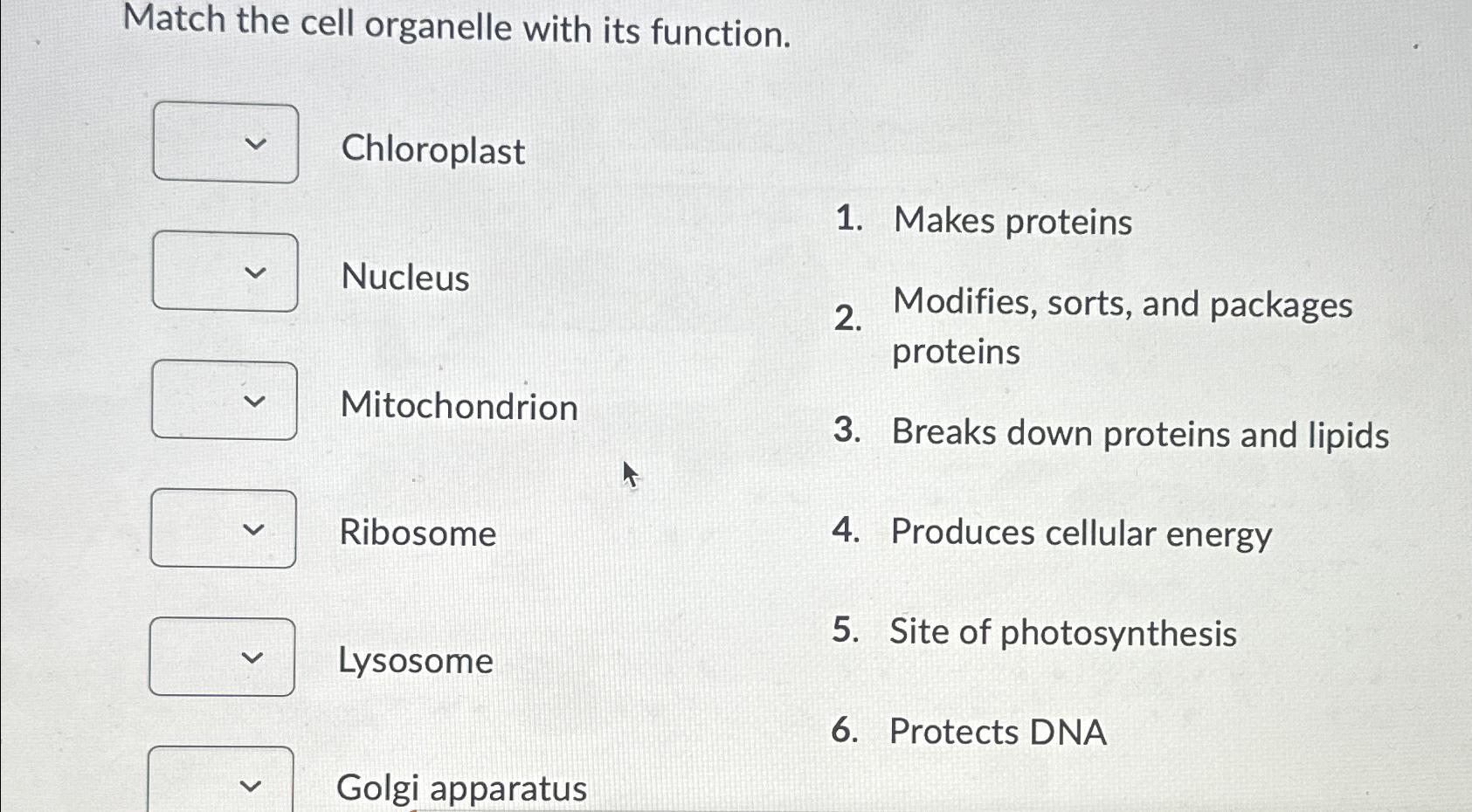 Solved Match the cell organelle with its | Chegg.com