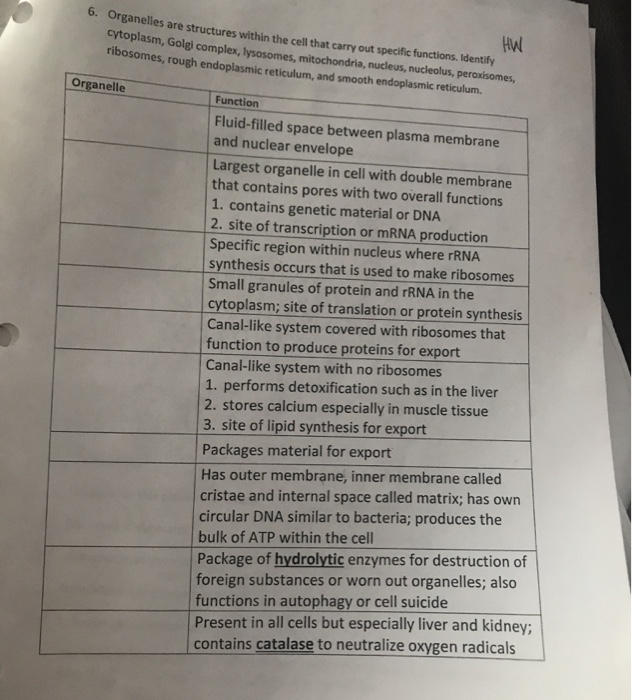 Solved Organelles are structures within the cell that carry | Chegg.com