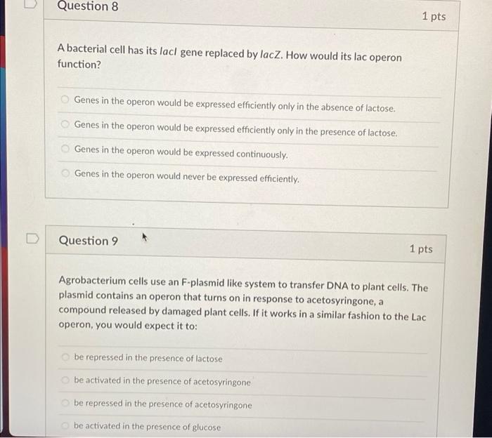 Solved 0 Question 8 1 pts A bacterial cell has its lacl gene | Chegg.com