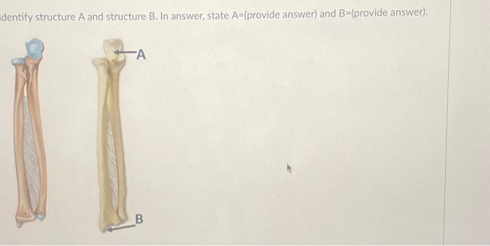 Solved dentify structure A and structure B. In answer, state | Chegg.com Solved dentify structure A and structure B. In answer, state | Chegg.com