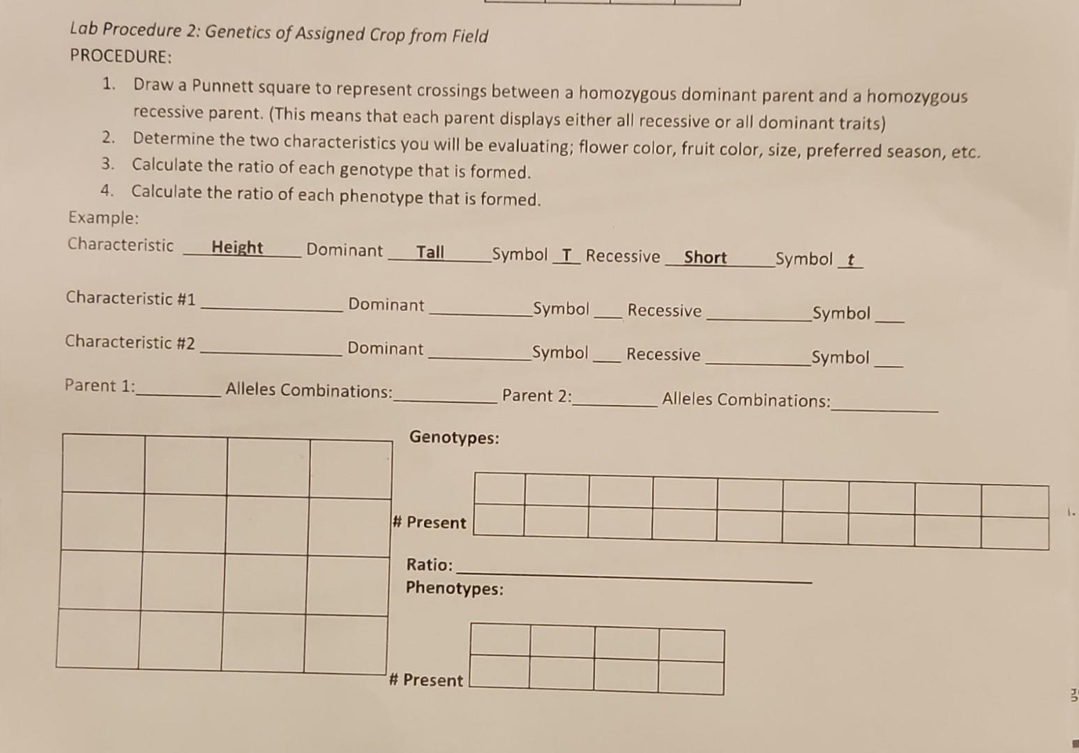 Solved Lab Procedure 2: Genetics of Assigned Crop from Field | Chegg.com