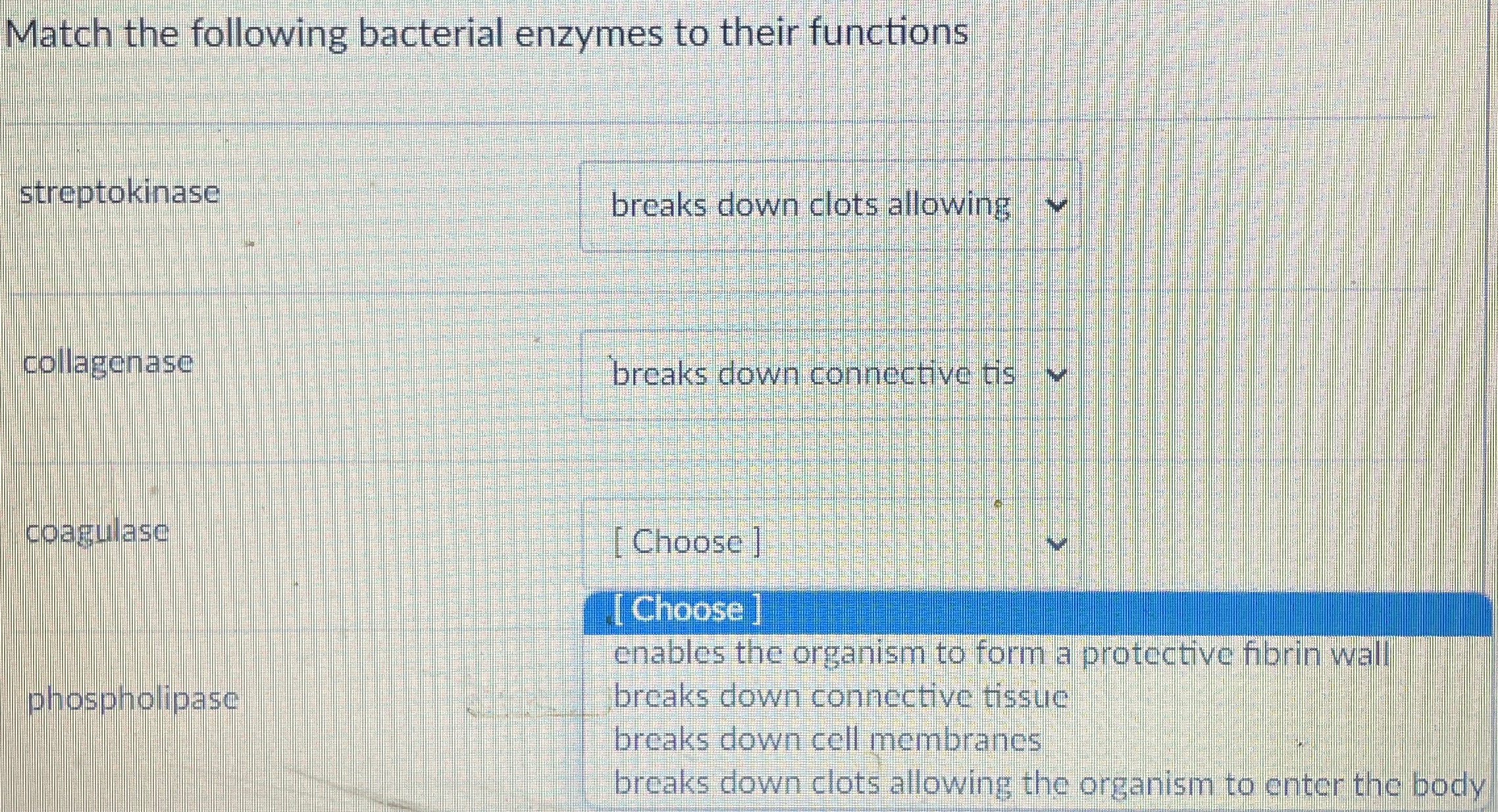 Solved Match the following bacterial enzymes to their | Chegg.com