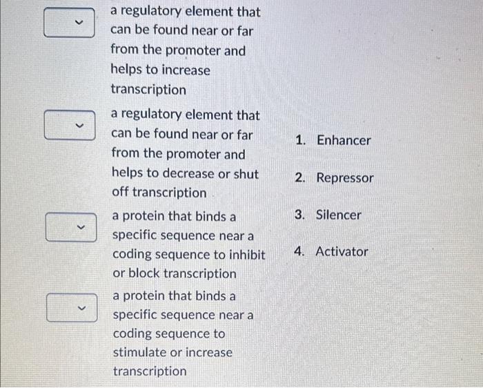 Solved Which of these is paired correctly? | Chegg.com