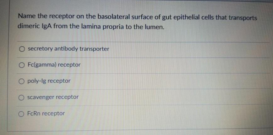 Solved Name the receptor on the basolateral surface of gut | Chegg.com