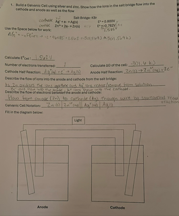 Solved I just need help filling in the diagram and can you | Chegg.com